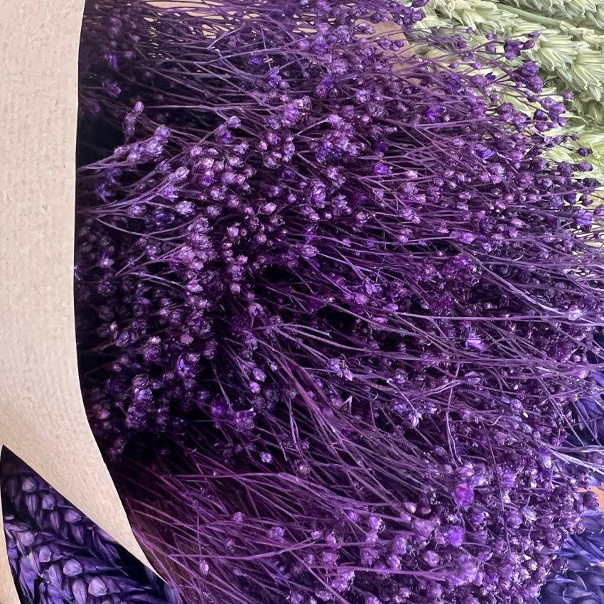 Flores secas - Broom Bloom | Atelier do Sabão